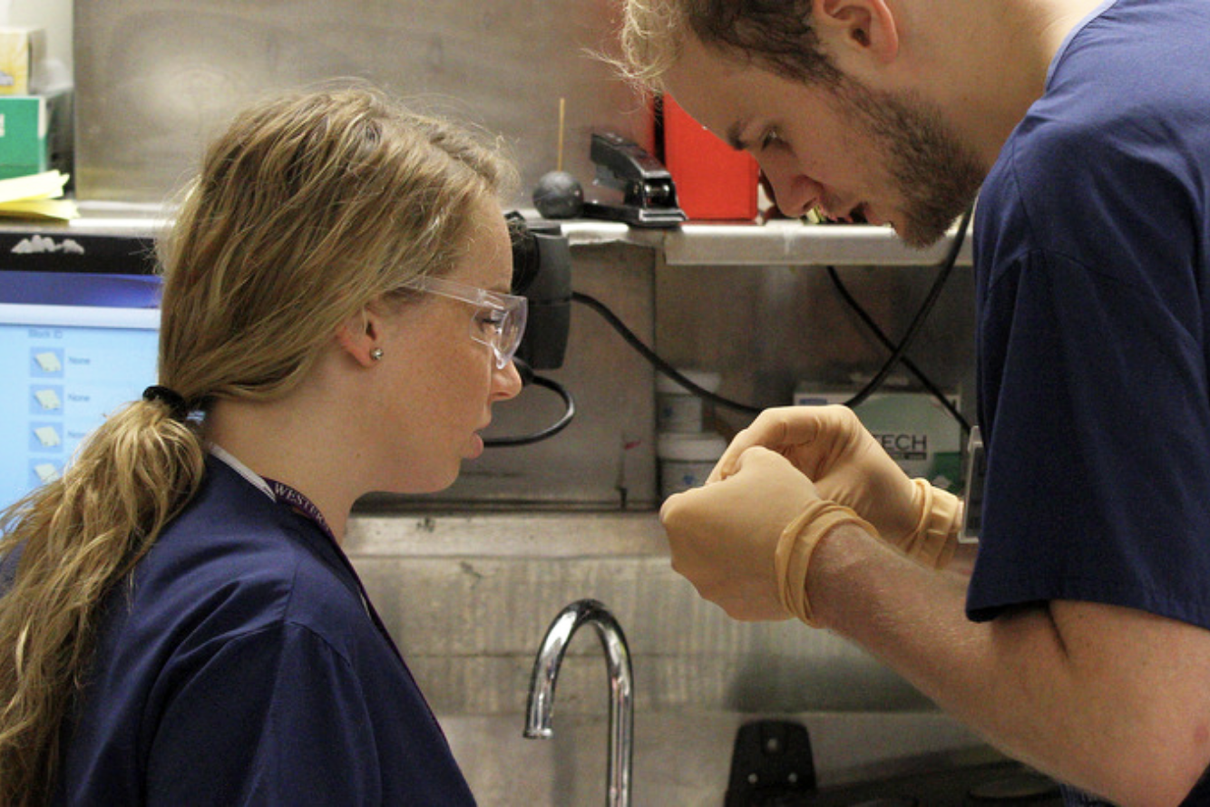 Academics | Pathology | School of Medicine | Queen's University